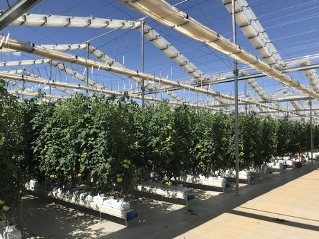 Retractable roof helps AU greenhouse function with extremely low energy ...