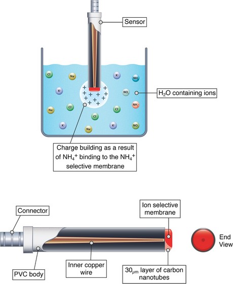 Phosphate sensor opens up new possibilities for growers
